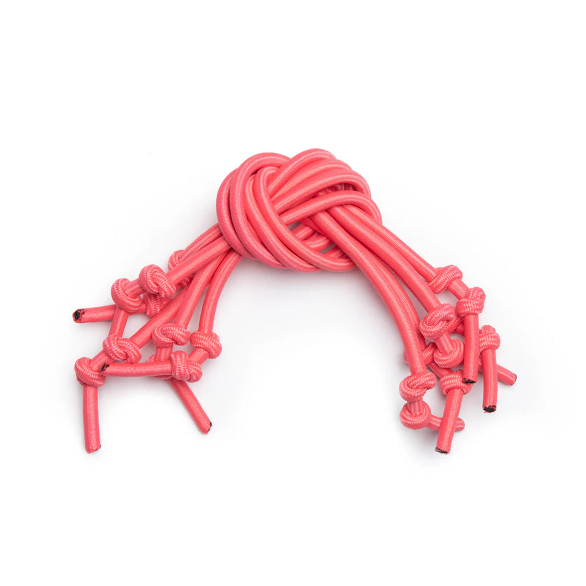 Replacement Elastic Cords, Set of 36 | 39" or 44" | JumpSport Fitness