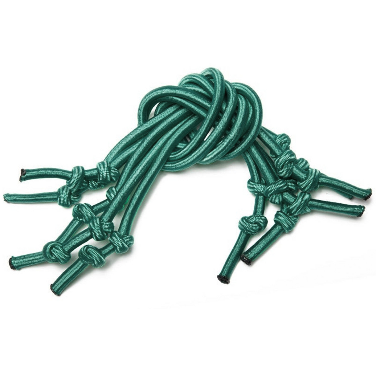 Replacement Elastic Cords, Set of 30 | 39" | JumpSport Fitness